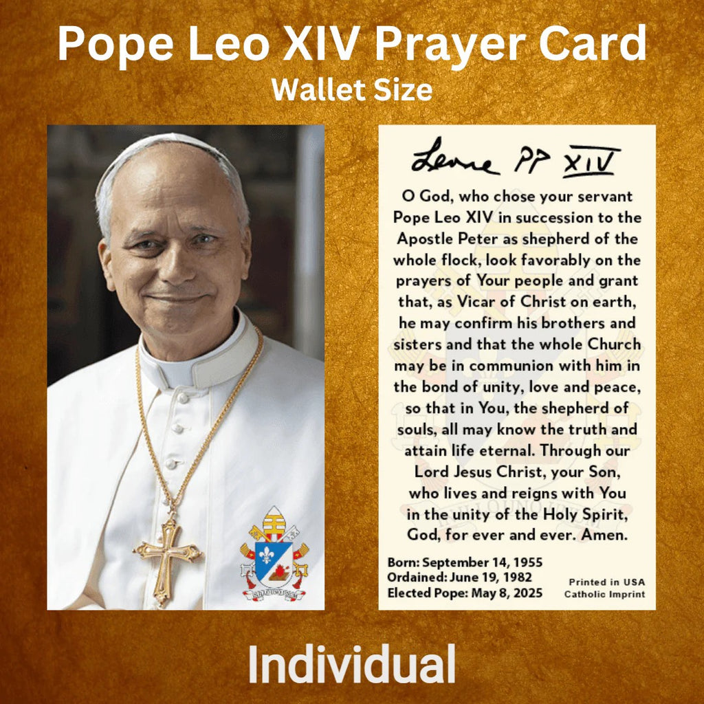 Pope Leo XIV Formal Portrait - Paper Holy Card, Individual - 3" x 5 ...