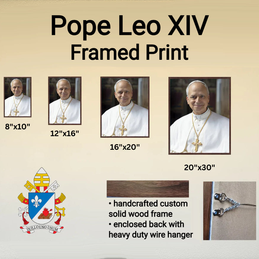 Pope Leo XIV Formal Portrait - Framed Print - 20" x 30" - CI-LEO-FRAME ...