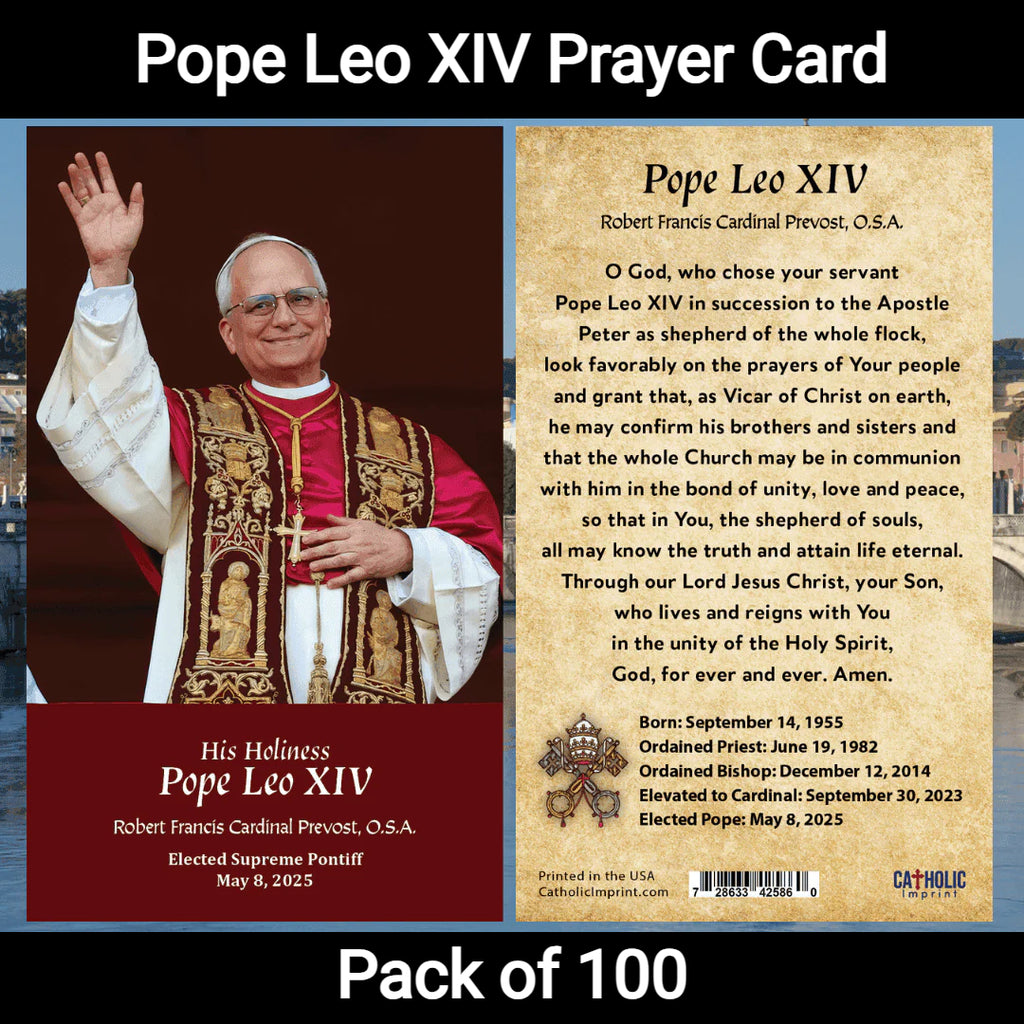 Pope Leo XIV Waving - Paper Holy Card, Pack of 100 - 3" x 5" - CI-LEO3 ...