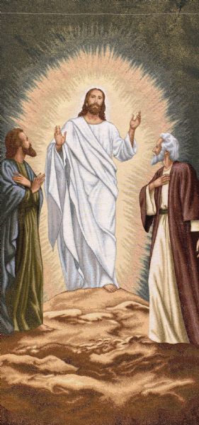 TE067 Transfiguration Wall Banner – Church Supply Warehouse